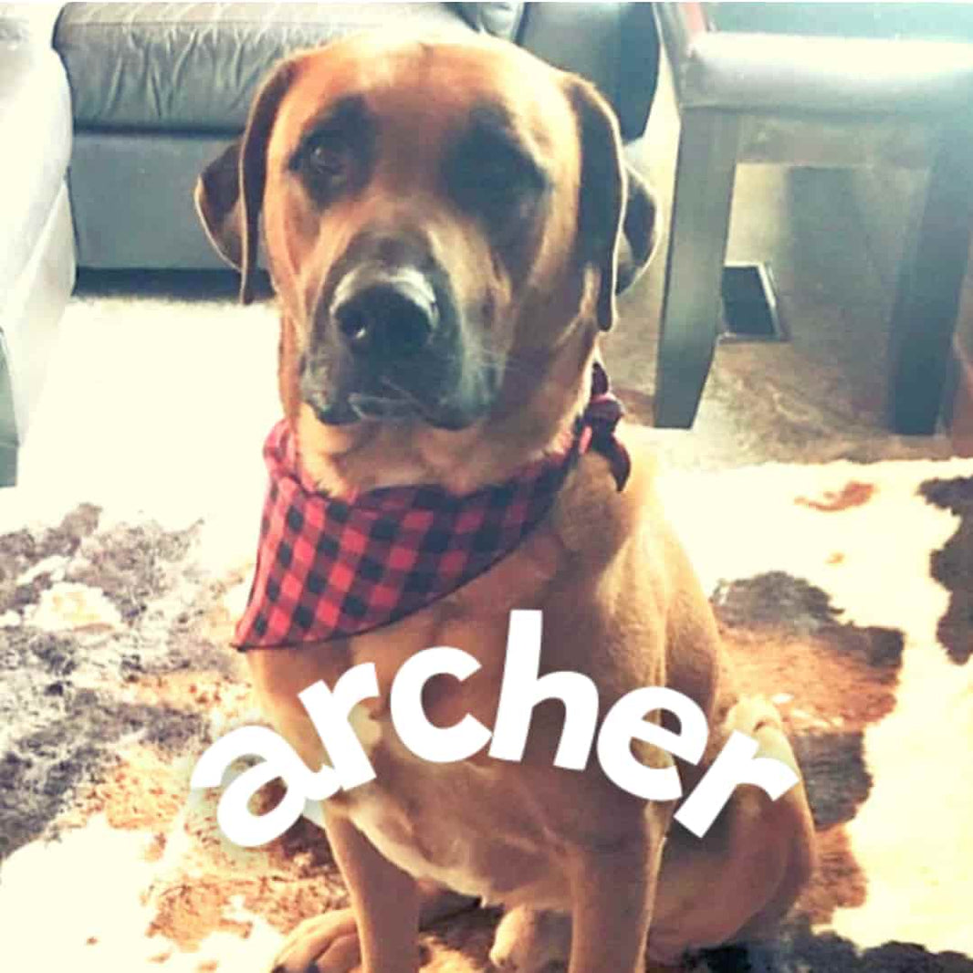 Reviews and Results – Virchew Shop