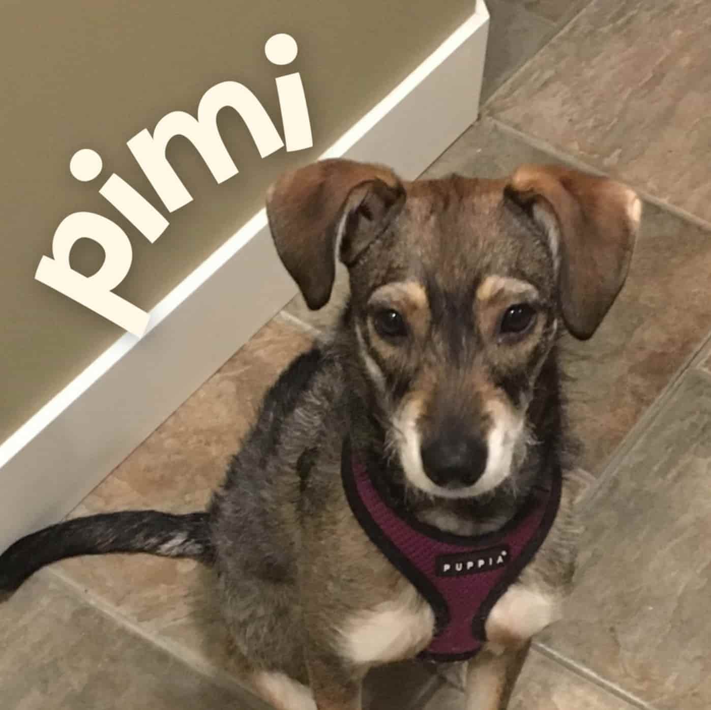 Pimi – Virchew Shop